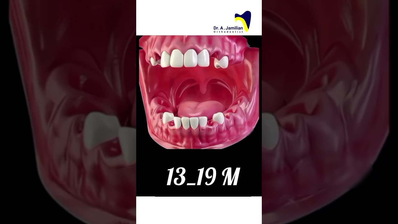 Primary Teeth Eruption Chart Explained, Baby Teeth Timeline & Mnemonics #babyteeth #eruption_chart