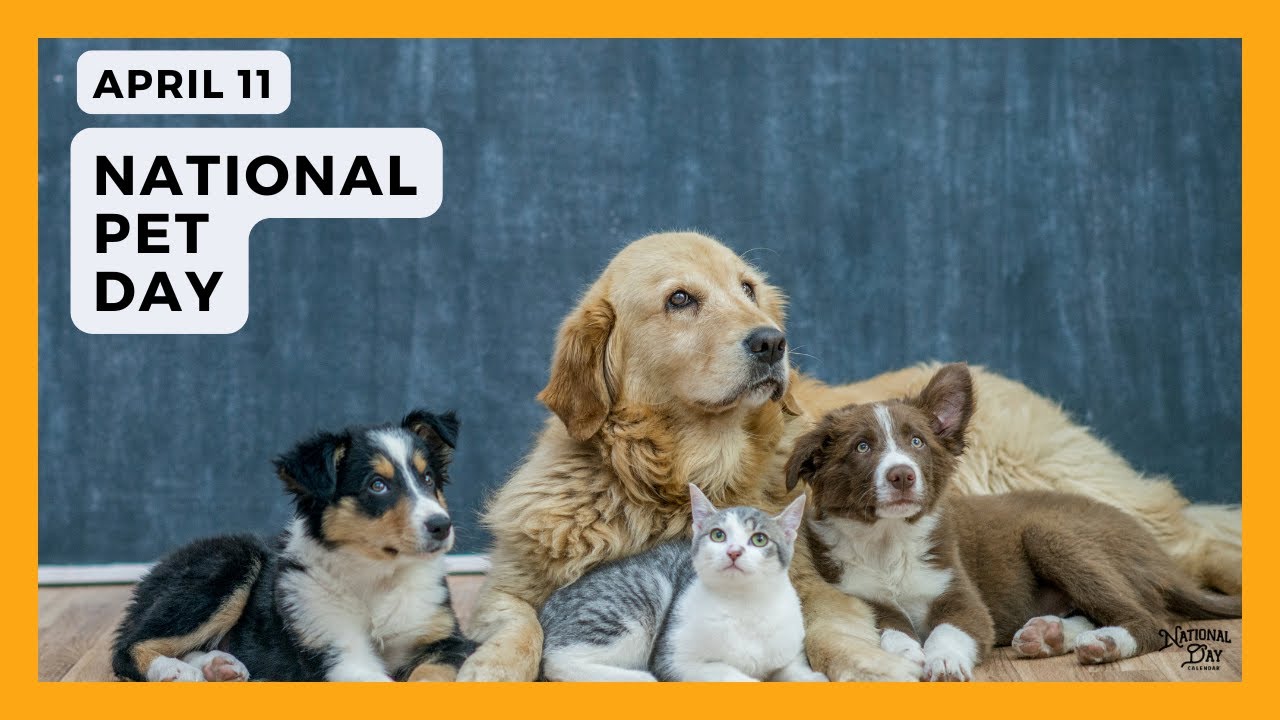 NATIONAL PET DAY | April 11