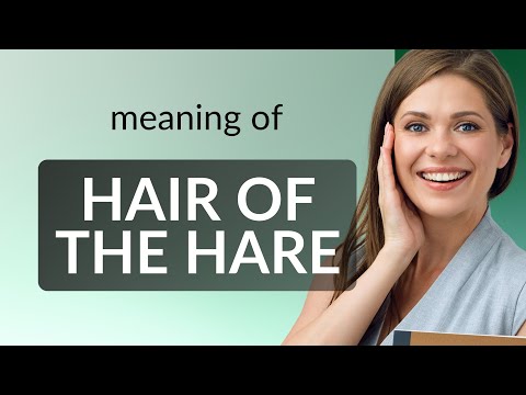 Understanding the Phrase "Hair of the Hare": An English Idiom Explained