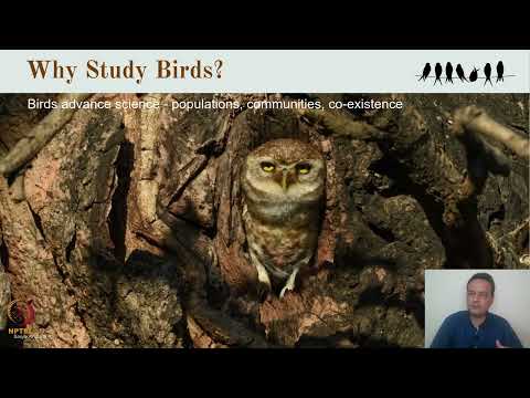 Introduction to Ornithology