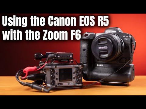 Canon R5: Zoom F6 line-out noise problem (4147C002)