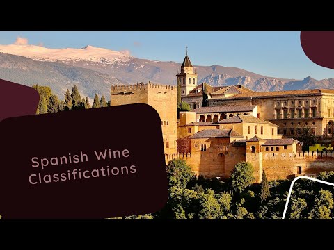 Spanish Wine Classification Explanation