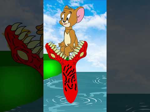 tom and jerry funny cartoon | tom & jerry memes #memes #funny #tomandjerry #animation #cartoon