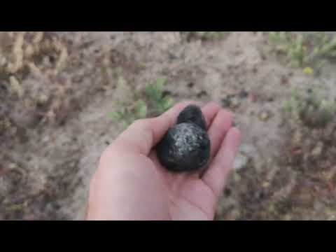 Apache Tears (Obsidian) || Sheldon, Nevada, USA || Rockhounding