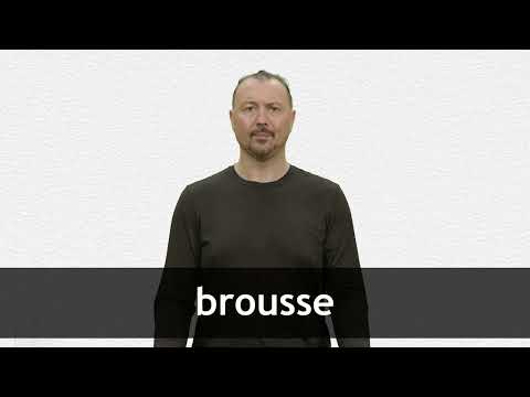 English Translation of “BROUSSE” | Collins French-English Dictionary