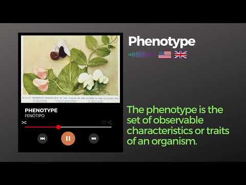 Phenotype definition | ???????? ????????