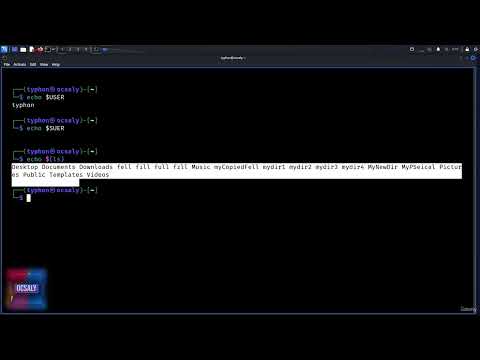 Quoting in Shell Explained | Bash Single vs Double Quotes for Hackers & Pentesters