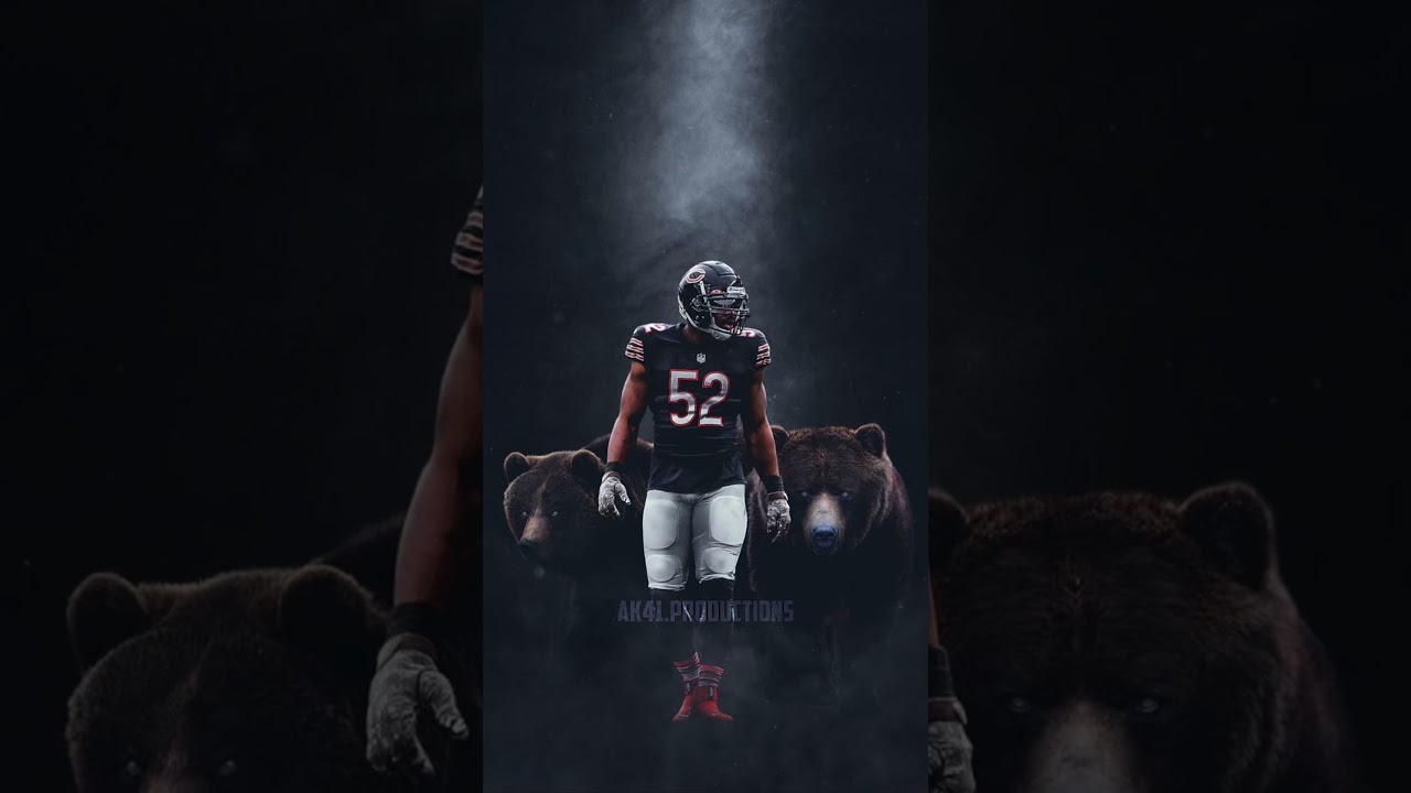 Bears Wallpapers @LANDOCARDS @Top5rankingstktok @caleb1802 @Jett Weber