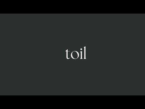 What is the meaning of toil?