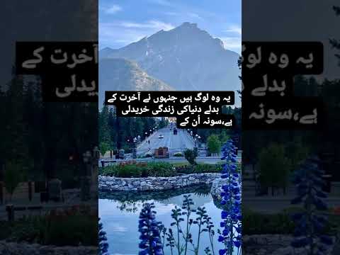 nature meditation | Quran verses | amazing Collection