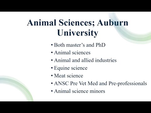 MS Animal Sciences/PhD animal sciences/Graduate degree in animal sciences/DVM PhD/ Veterinary MS,PhD