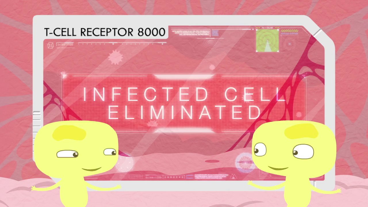 PD-L1/PD-1 Pathway: A Security Checkpoint