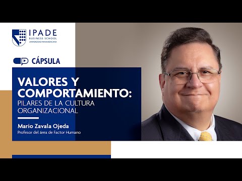 Valores y comportamiento: Pilares de la cultura organizacional