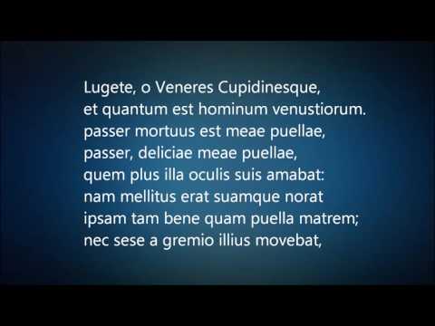 Catulli Carmen III / Catullus 3 Lugete O Veneres Cupidinesque