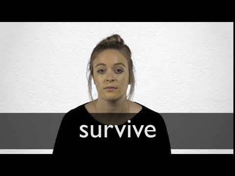 SURVIVE definition and meaning | Collins English Dictionary