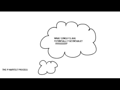 What happens during the patent harvest process?