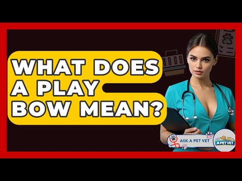 What Does A Play Bow Mean? - Ask A Pet Vet