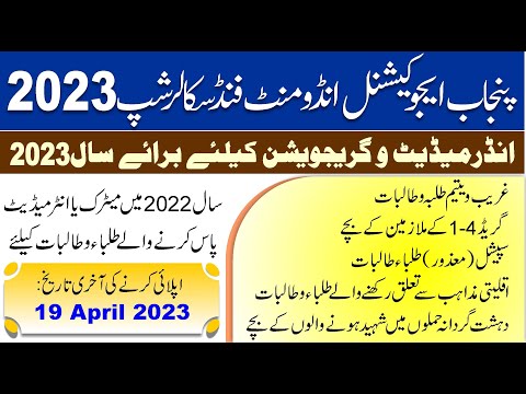 PEEF Scholarships 2023 | Punjab Educational Endowment Fund Scholarship 2023 | Details | Eligibility
