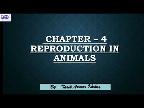 Reproduction in Animals Video Lecture - Crash Course for Class 4 (Hinglish)