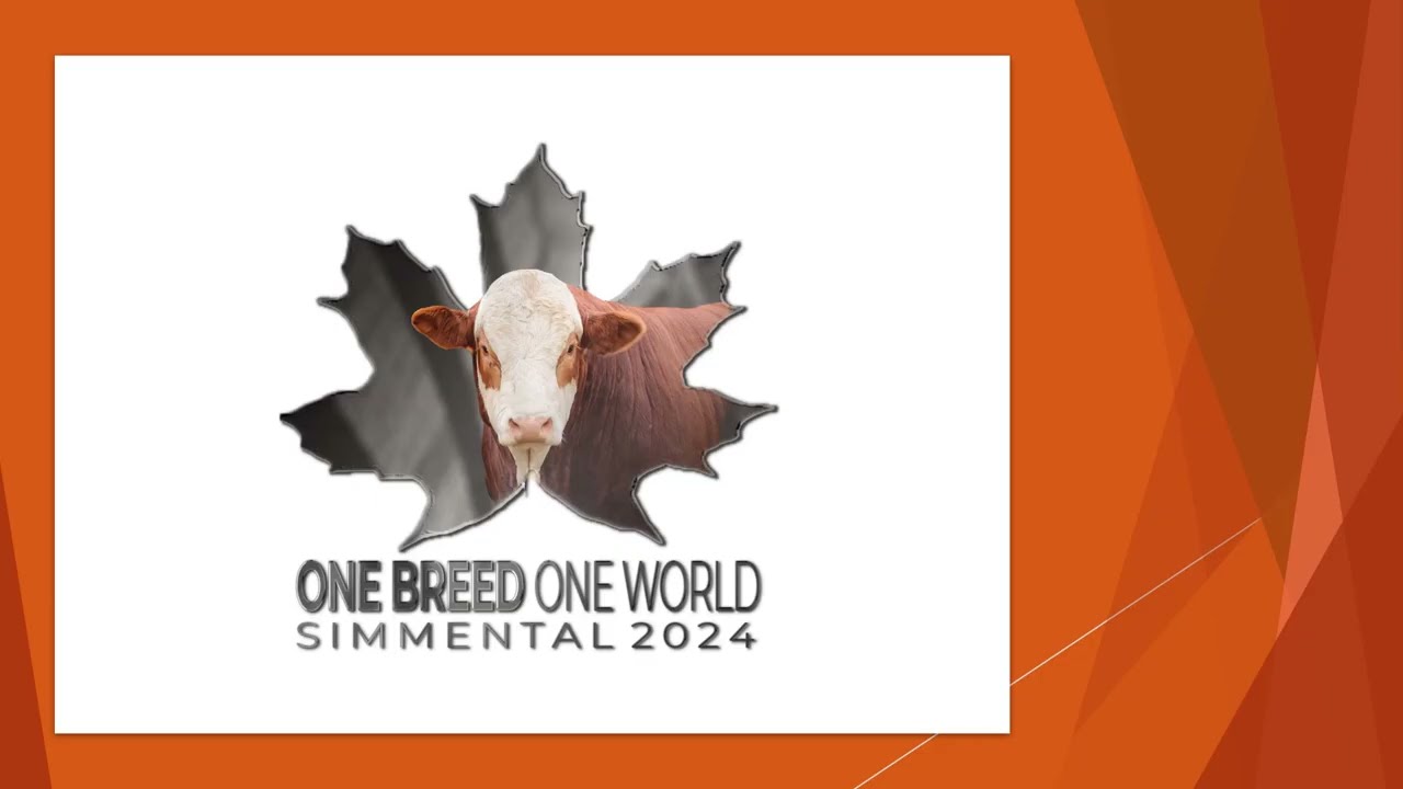 Canada 2024 World Simmental Fleckvieh Congress