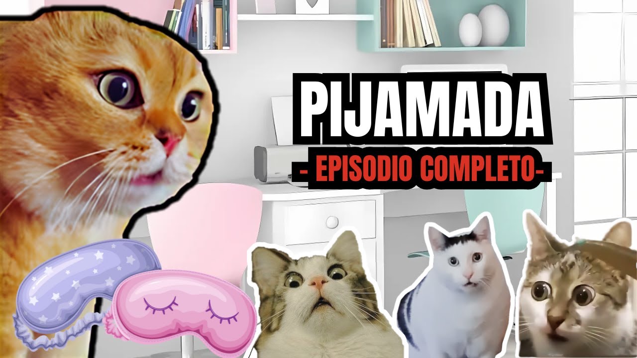 PIJAMADA, episodio completo (meme de gatos)