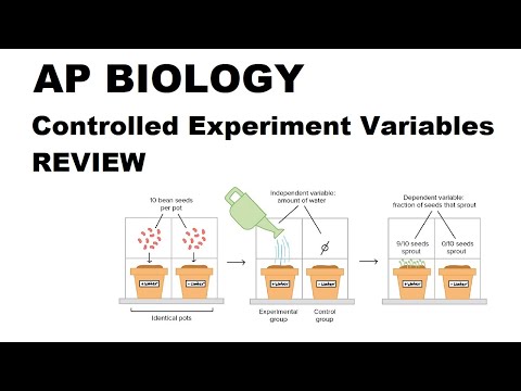 AP Biology - Controlled Experiment Variables Review 2023