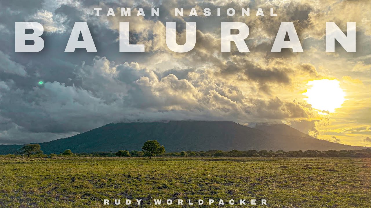 MENYUSURI SAVANA ALA AFRIKA DI TAMAN NASIONAL BALURAN [VLOG40]