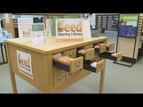 Local library systems lending more than books