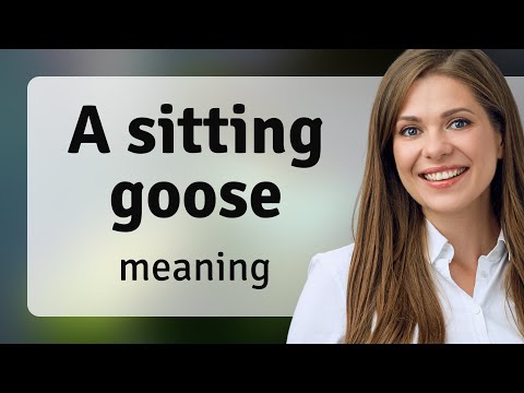 Understanding the Phrase "A Sitting Goose"