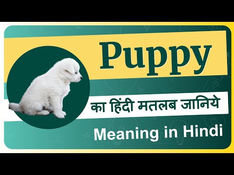 Puppy meaning in Hindi | Puppy ka matlab kya hota hai | Puppy means and hindi word
