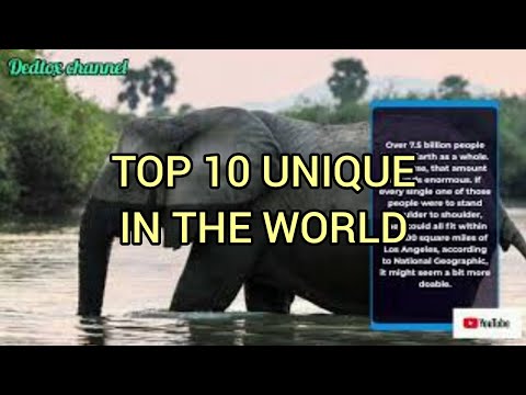 TOP 10 UNIQUE IN THE WORLD