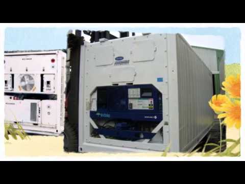 Cold Storage Container Lease in Las Vegas, Lincoln & Cambridge USA ...