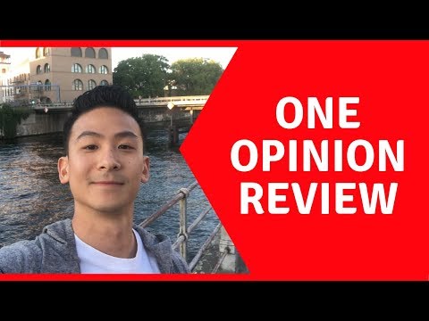 One Opinion Review - Can You Earn With This Site OR Not??