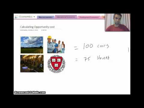 Calculating opportunity cost