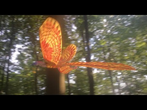 Archaeopteryx ornithopter (= flying model) on YouTube | The Pterosaur ...