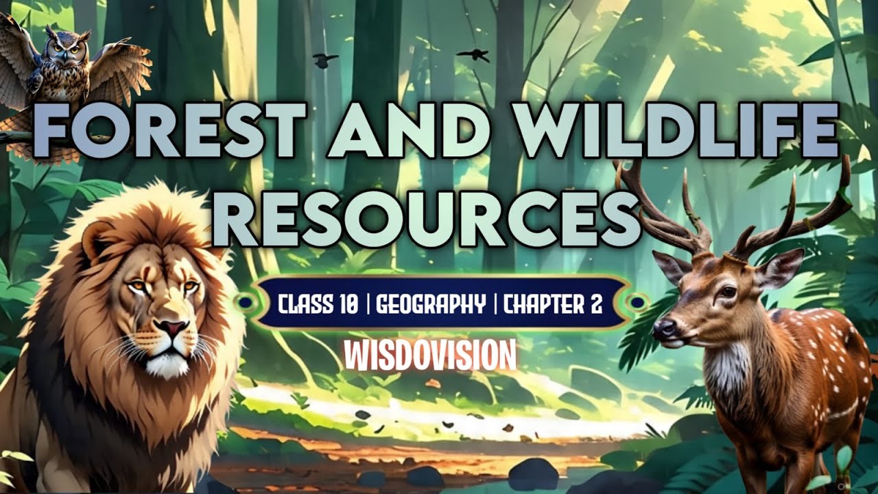 Forest and Wildlife Resources Class 10 CBSE full chapter (Animation) | Class 10 Geography Chapter 2