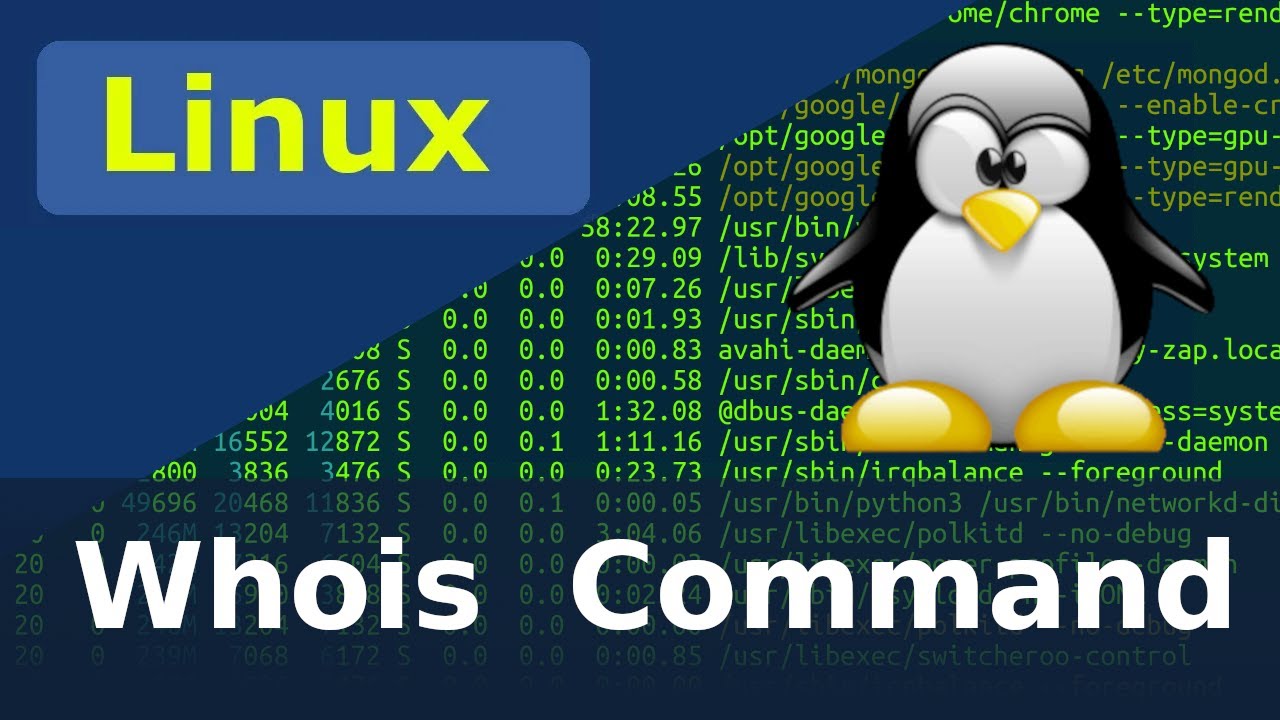 Whois Command - Linux
