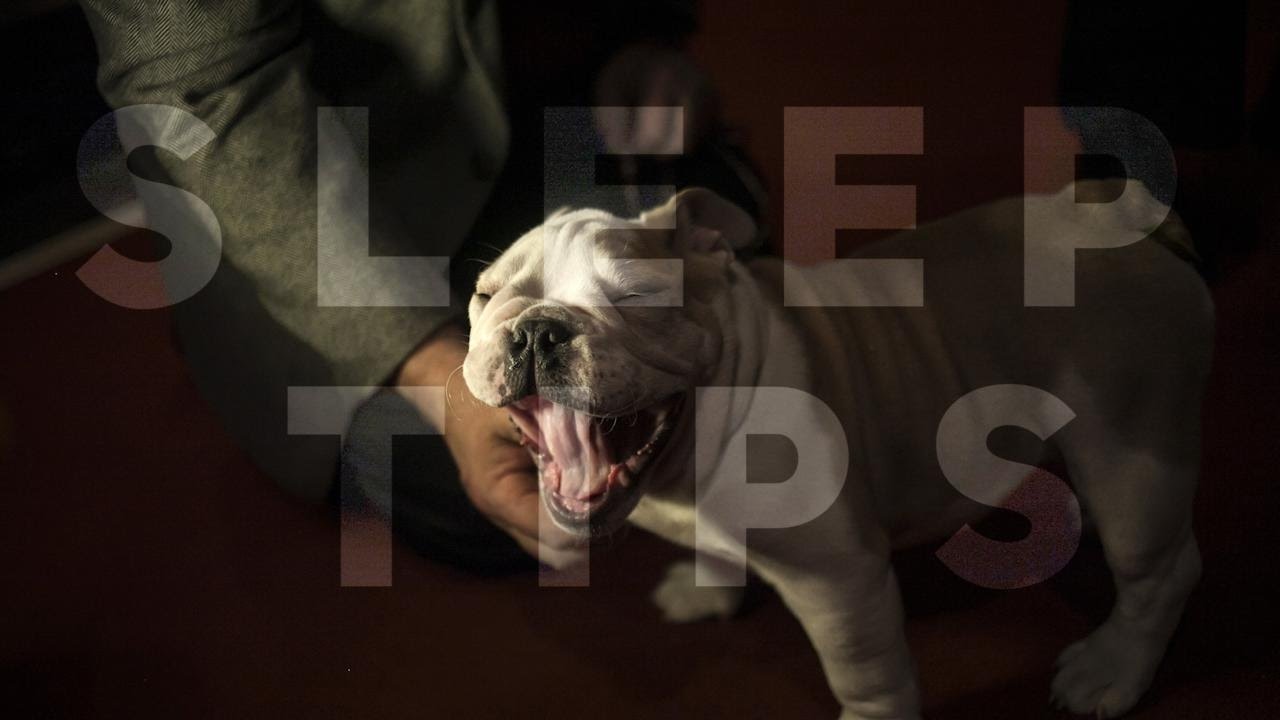 Top sleeps tips for World Sleep Day