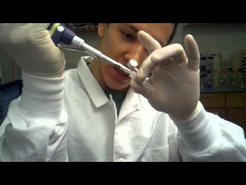 cloning cycle - how to set up a resctriction digest on plasmid or pcr DNA