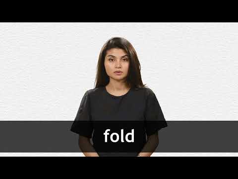 FOLD definition and meaning | Collins English Dictionary