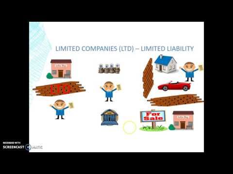 Edexcel GCSE Business - Limited Liability