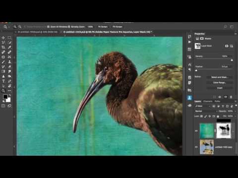 How to Add Artistry to Your Nature Photos with Textures