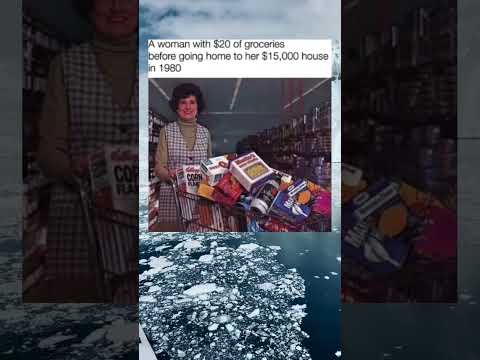 A woman with 20$ of groceries before goign home to her 15000$ house in 1980