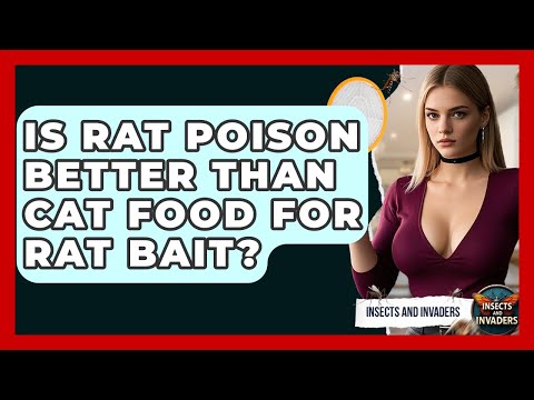 Is Rat Poison Better Than Cat Food For Rat Bait? - Insects and Invaders