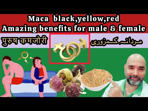 MACA Benefits And Types || Spanish Pk