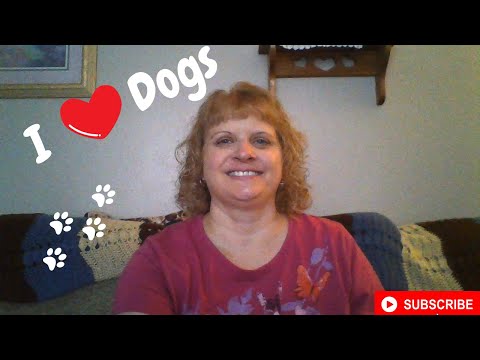 IHeartDogs Product Review July 2020