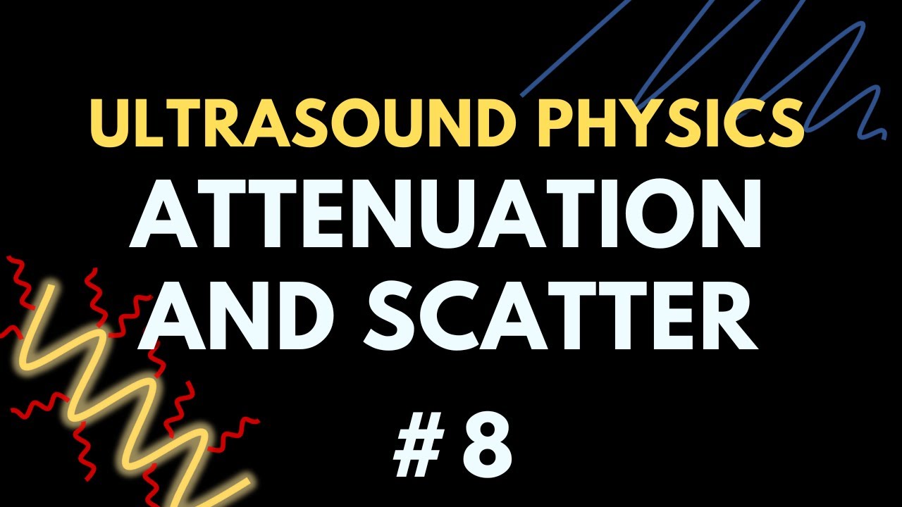 Understanding Ultrasound Scatter and Attenuation: Key Concepts in ...