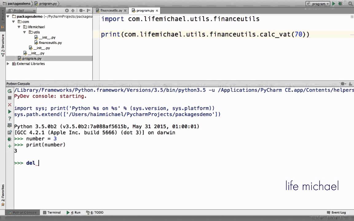 The del Keyword in Python