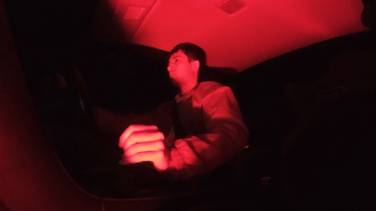 EDEN - True (Official Visualizer)