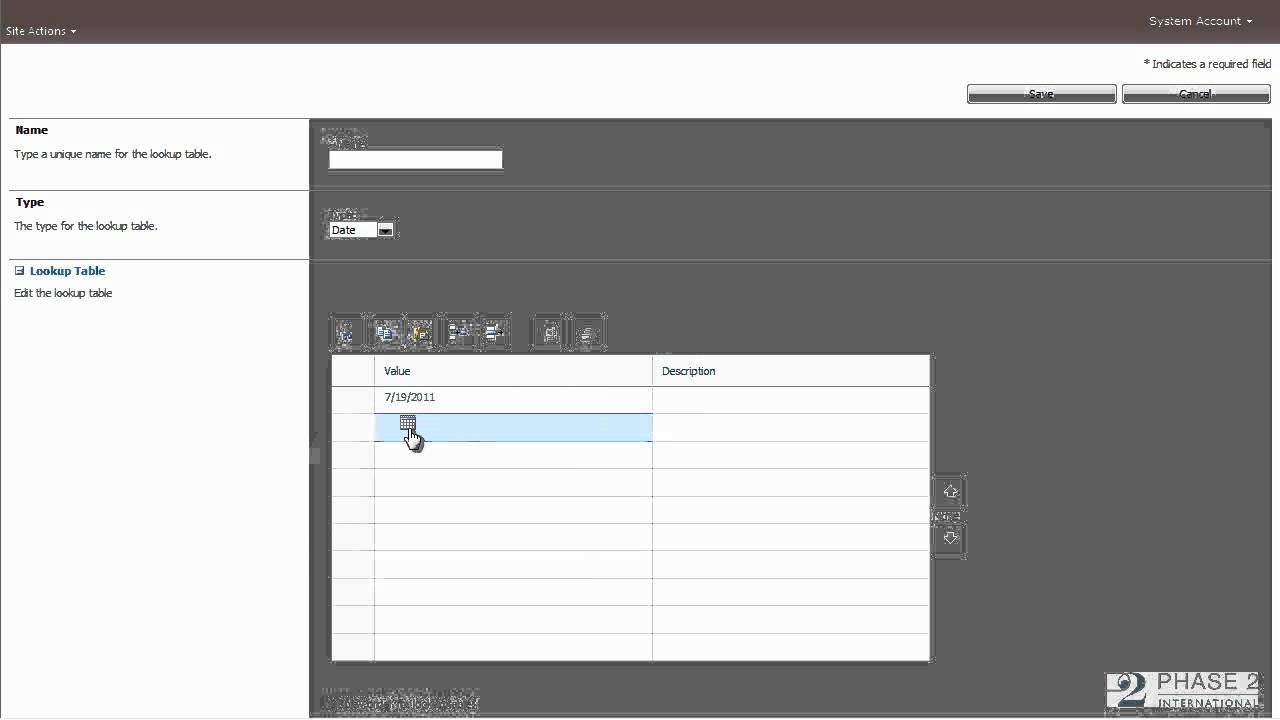 MS Project Server 2010:  Custom Fields And Tables Overview